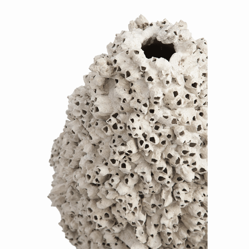 HW Home - Furniture Store | Online Store | Custom Furniture-Barnacle ...