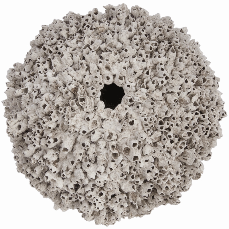 HW Home - Furniture Store | Online Store | Custom Furniture-Barnacle ...